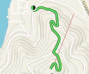 Spider Mountain Hiking Trail: 18 Reviews, Map - Texas | AllTrails
