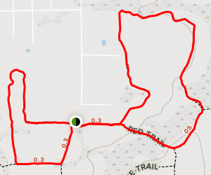 Alafia River Corridor Yellow and Red Trail Loop | Map, Guide - Florida ...
