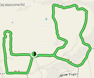 Alafia River Corridor Yellow and Red Trail Loop - Florida | AllTrails