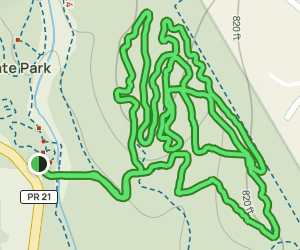 Limestone Ridge Trail: 224 Reviews, Map - Texas | AllTrails