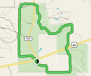 I.D Fairchild State Forest Northern Loop | Map, Guide - Texas | AllTrails