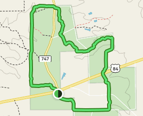 I.D Fairchild State Forest Northern Loop, Texas - 48 Reviews, Map ...