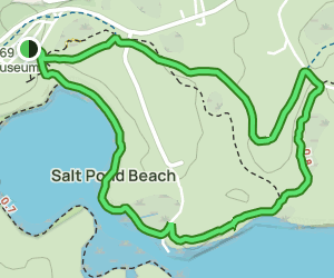 Salt Pond Trail : 77 Reviews, Map - Massachusetts | AllTrails