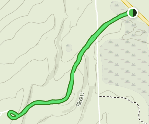 Suscon Fire Tower Hike: 26 Reviews, Map - Pennsylvania | AllTrails