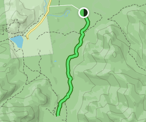 Marcy Dam Truck Trail: 1.750 foto's - New York | AllTrails