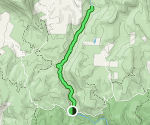 Chattooga River Trail from Bull Pen Road: 128 Reviews, Map - North ...