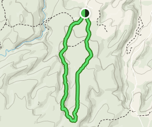 Aongatete Long Loop Track: 94 foto's - Bay of Plenty, New Zealand ...