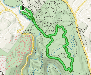 Henry Cowell Observation Deck Loop: 1213 Reviews, Map - California ...