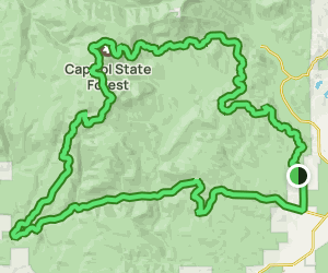 Capitol Forest Loop from Mima Falls Trailhead: 4 Reviews, Map - Washington | AllTrails