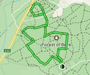 Forest of Bere West and Lowerford Copse Circular: 184 Reviews, Map ...