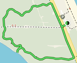 Coconut Point Sanctuary Loop, Florida - 70 Reviews, Map | AllTrails