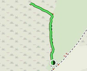 Big Cypress Boardwalk Trail , Florida - 52 Reviews, Map | AllTrails