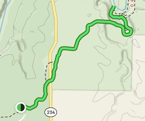 Pine Hills Nature Preserve Trail: 700 Reviews, Map - Indiana | AllTrails