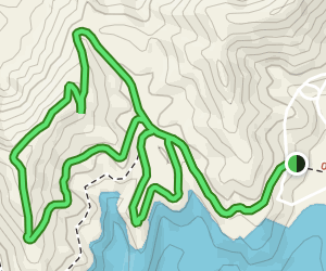 Diamond Valley Lake Wildflower Trail: 559 Reviews, Map - California ...