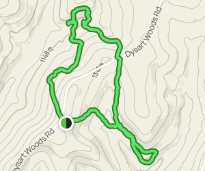 Dysart Woods Red and Blue Loop: 25 foto's - Ohio | AllTrails