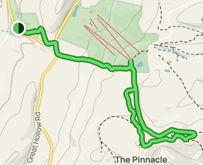 Cathedral Pines and Mohawk Mountain Trail, Connecticut - 181 Reviews ...