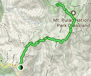 Mount Pulag: 23 Reviews, Map - Benguet, Philippines | AllTrails