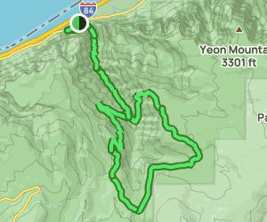 Oneonta Trail, Bell Creek, and Horsetail Creek Loop: 7 Reviews, Map ...