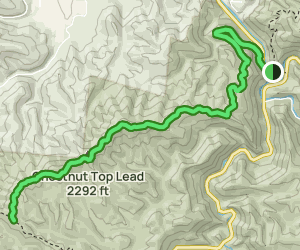 Chestnut Top Trail: 418 Reviews, Map - Tennessee | AllTrails