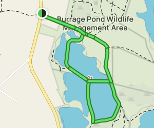 Burrage Pond Loop: 323 Reviews, Map - Massachusetts | AllTrails