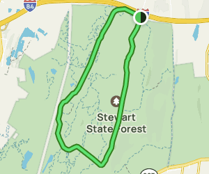 Stewart State Forest Foot Trail: 336 Reviews, Map - New York | AllTrails