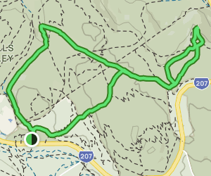 South Ledge Lookout via Munda Biddi Circuit: 187 foto - Australia ...