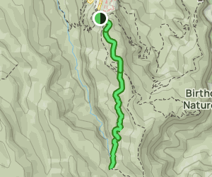 Coomera River Falls via Border Track and Coomera Circuit: 277 Reviews ...