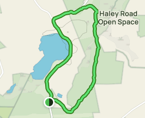 Avery Farm Blue Trail, Connecticut - 267 Reviews, Map | AllTrails