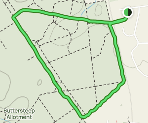 Swinley Forest Circular (Via South Ascot): 64 Reviews, Map - Berkshire ...
