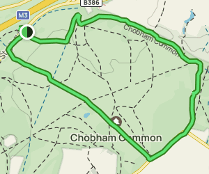 Chobham Common and Albury Bottom Circular: 170 Reviews, Map - Surrey ...