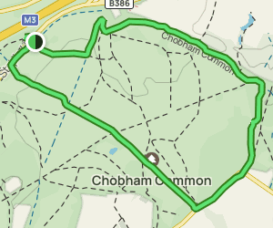Chobham Common and Albury Bottom Circular, 85 Fotos - Surrey, England ...