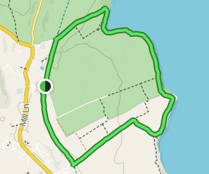 Cloughton and Crook Ness: 158 foto - North Yorkshire, England | AllTrails