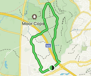 Theale and Sulham Walk: 61 Reviews, Map - Berkshire, England | AllTrails