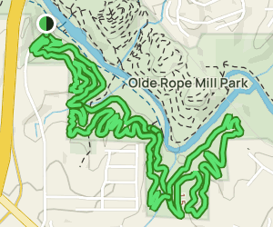 Avalanche Trail Loop: 998 Reviews, Map - Georgia | AllTrails
