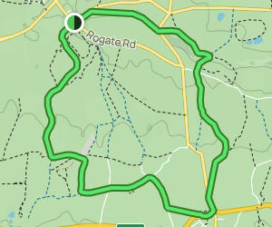 Durford Wood and Rogate: 80 Reviews, Map - Hampshire, England | AllTrails