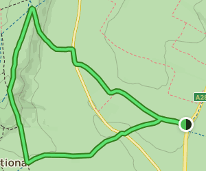 Binderton and Kingley Vale: 20 Reviews, Map - West Sussex, England ...