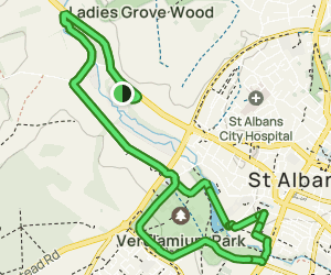 The Prae Wood Arms and Verulamium Park Walk - Hertfordshire, England ...