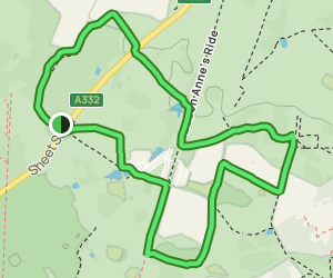 Windsor Great Park Circular Walk: 240 Reviews, Map - Berkshire, England ...