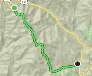 AllTrails | Thomas Divide, Newton Bald and Mingus Creek Trail: 73 ...