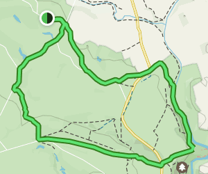 AllTrails | Nutwith and Hackfall Walk: 29 Reviews, Map - North ...