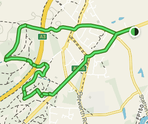 The Refectory and Milford Common Walk: 23 Reviews, Map - Surrey ...