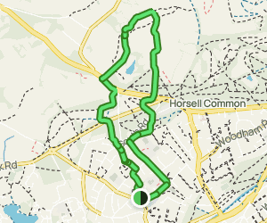 The Red Lion, Horsell Common and Mimbridge Meadows Walk: 39 Reviews ...