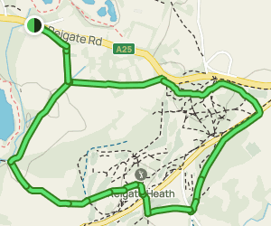 The Pheasant and Reigate Heath Walk: 117 Reviews, Map - Surrey, England ...