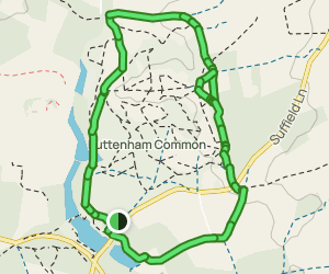 Puttenham Common and the North Downs Way: 144 Reviews, Map - Surrey ...