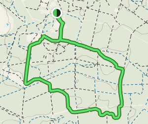 Thetford Forest Fir Trail: 33 foto's - Suffolk, Engeland | AllTrails