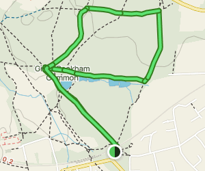 Great Bookham Common Trail: 91 Reviews, Map - Surrey, England | AllTrails