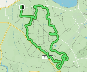 Tunstall Forest Circular Walk, 17 Fotos - Suffolk, England | AllTrails