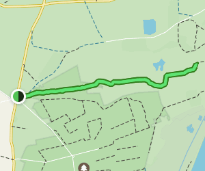 Dunwich Forest Walk: 9 Reviews, Map - Suffolk, England | AllTrails