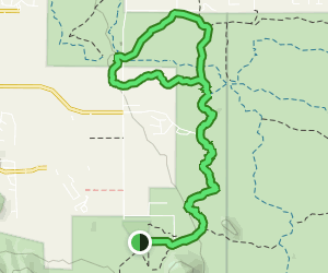 Knob Trail and Saguaro Loop: 14 Reviews, Map - Arizona | AllTrails