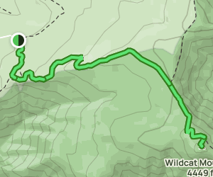 Wildcat Mountain Trail #781F via Douglas Trail #781: 185 Reviews, Map ...